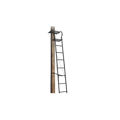 BIG DOG HUNTING HOUND DOG 15FT BASIC LADDER